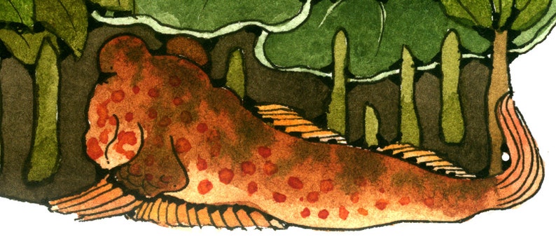 Prowling Tiger in Mangroves. Watercolour by Dandi Palmer to Download ...