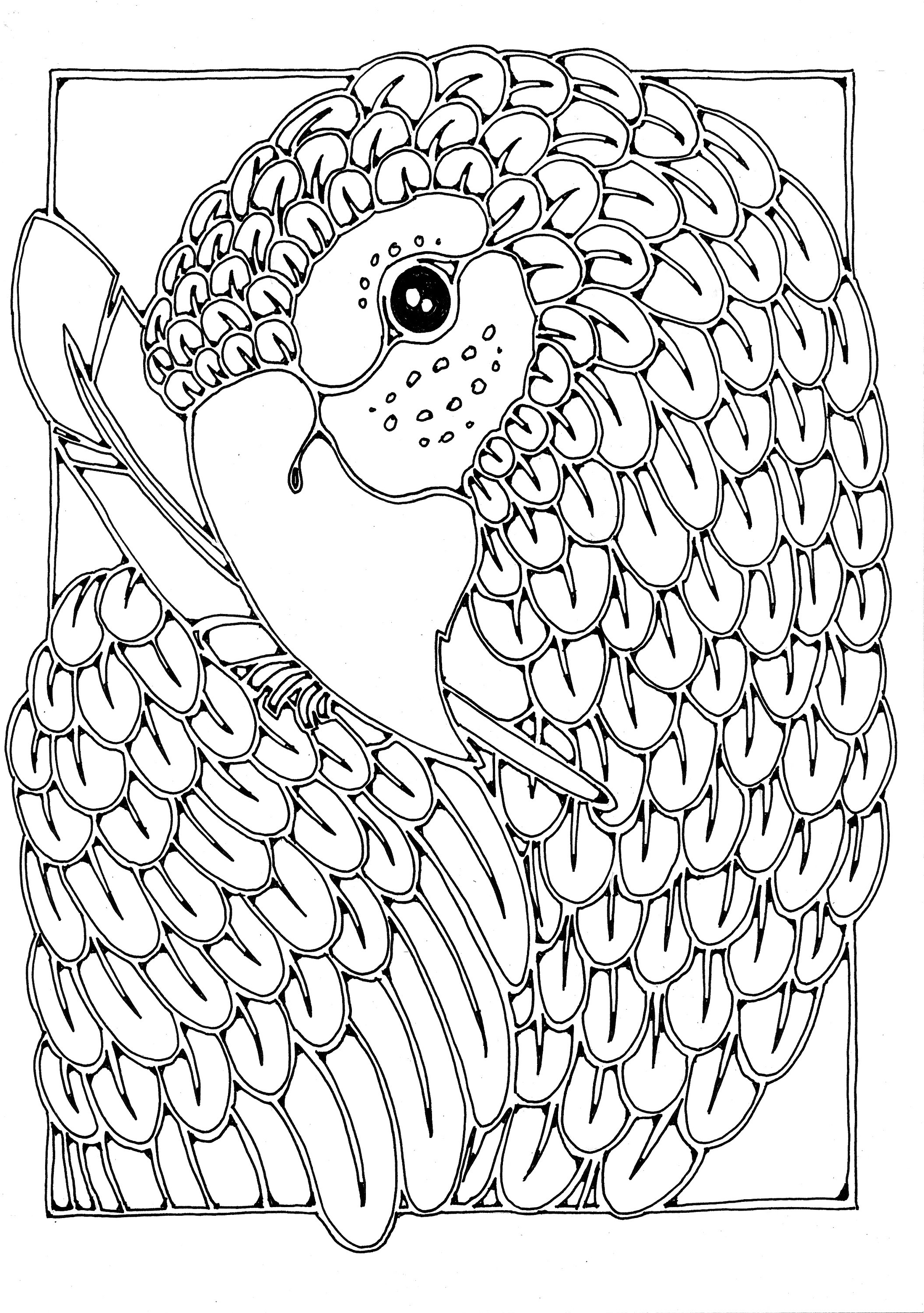 100 Batik Style Pictures to Colour - Etsy