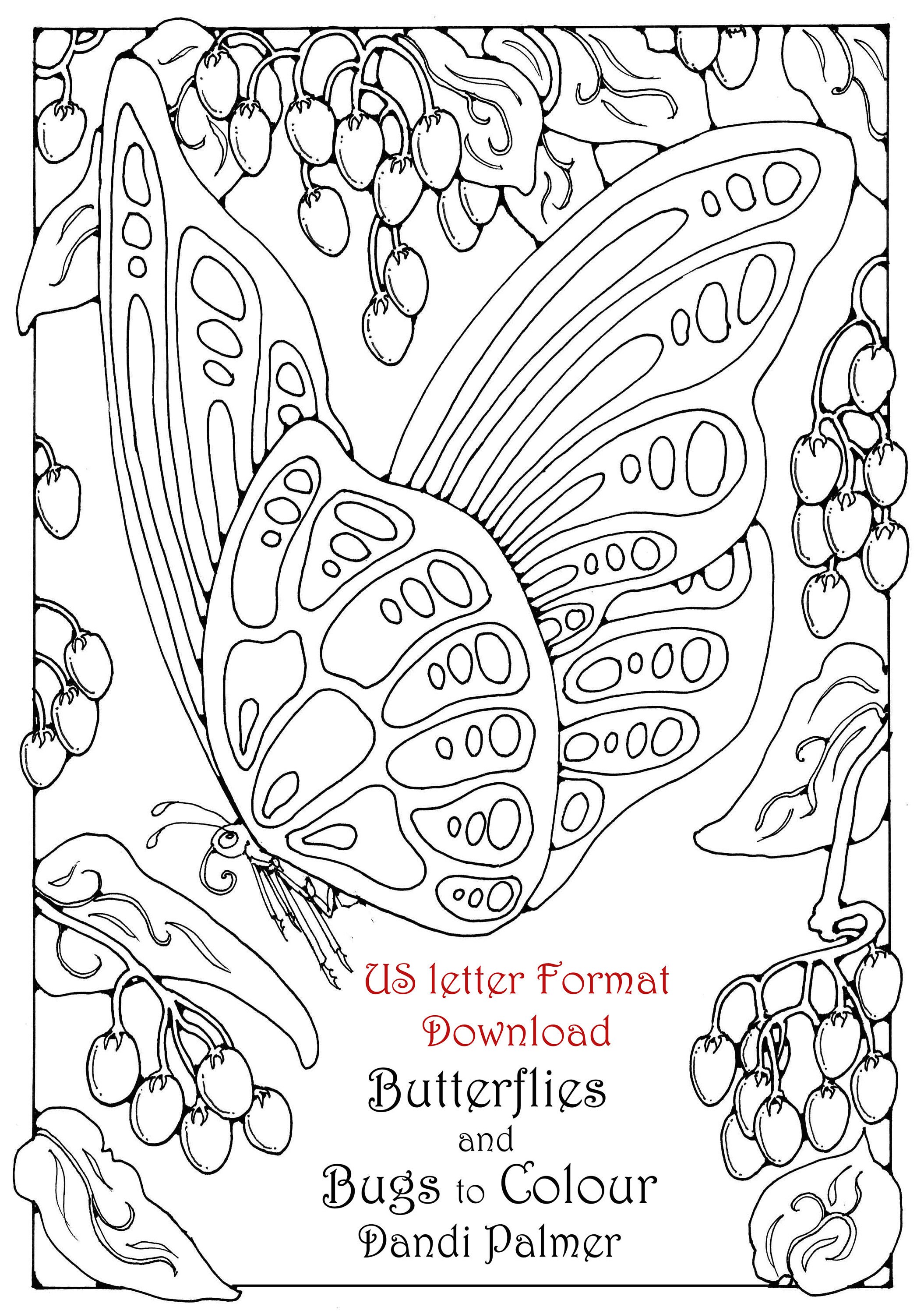 Butterflies and Bugs to Colour in US Letter Format. 42 Different Pages ...