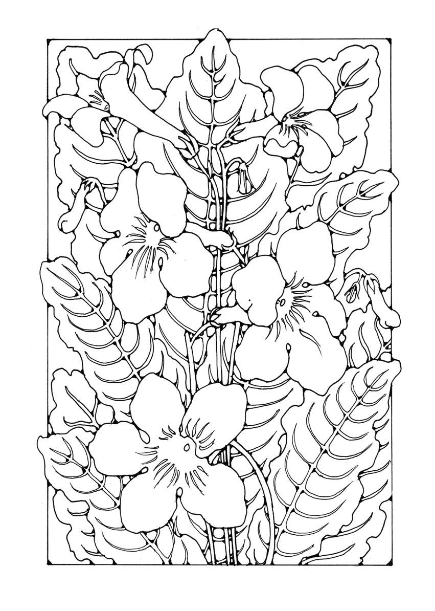 Flowers to Colour In. 62 Different Pages to Download and Print Out. - Etsy