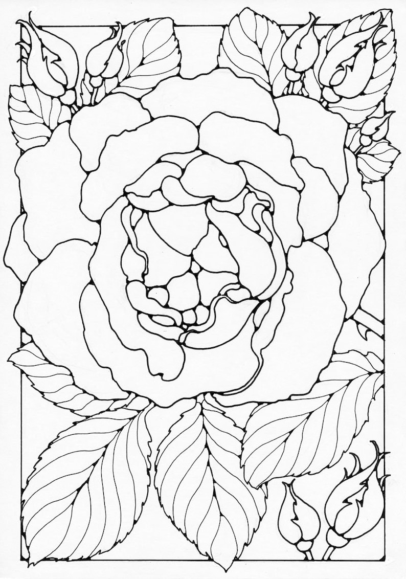 A Colouring Book of 42 Roses to Download and Print Out in US Letter ...