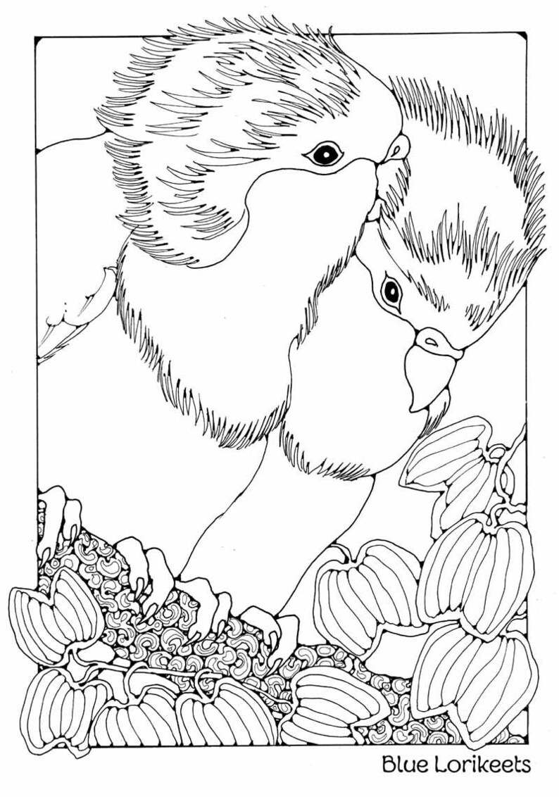 A Colouring Book of Parrots, 42 Different Pages to Download - Etsy