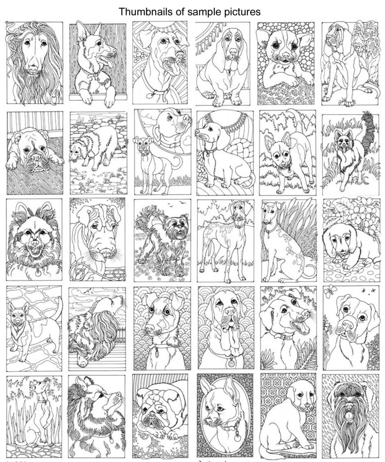 Dogs to Colour in US Letter Format 42 Original Pictures to - Etsy