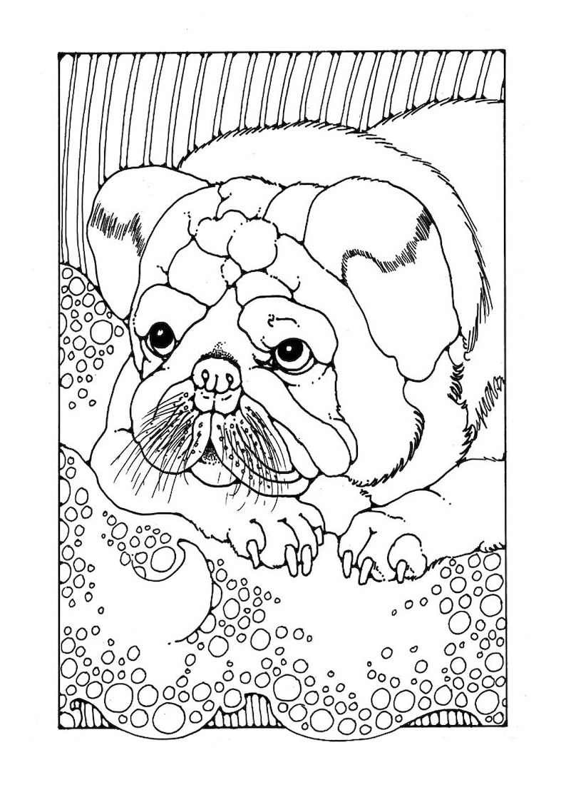 Dogs to Colour in US Letter Format 42 Original Pictures to | Etsy