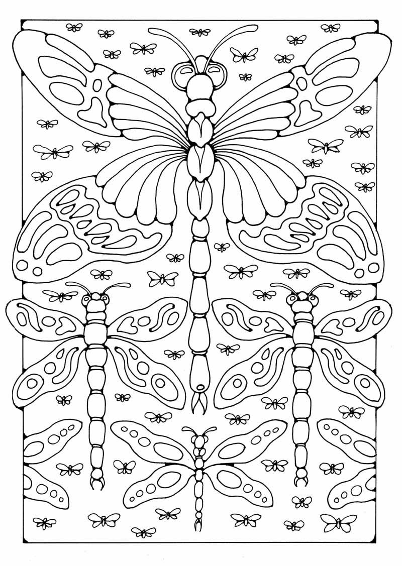 Butterflies and Bugs to Colour in US Letter Format. 42 - Etsy