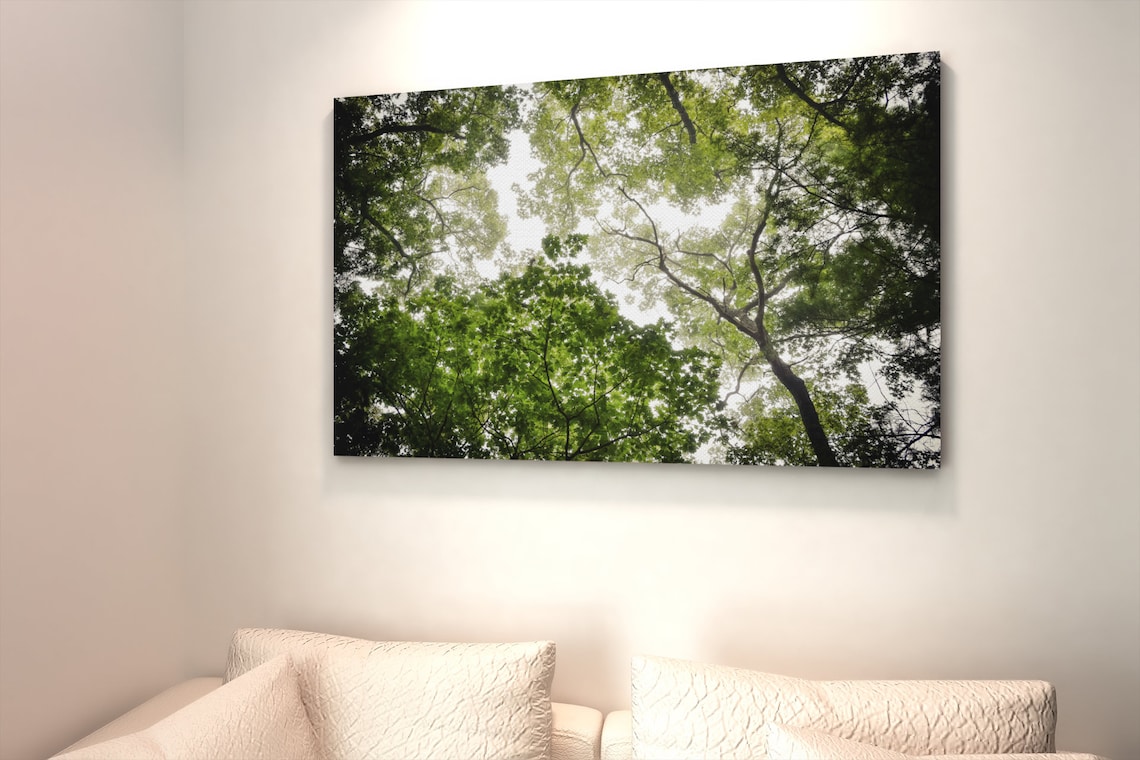 Tree Photography Art Printable Wall Art Nature Photography - Etsy