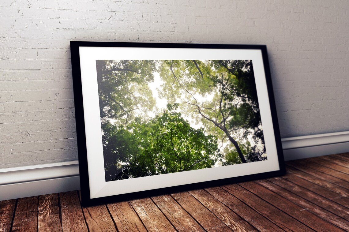 Tree Photography Art Printable Wall Art Nature Photography - Etsy