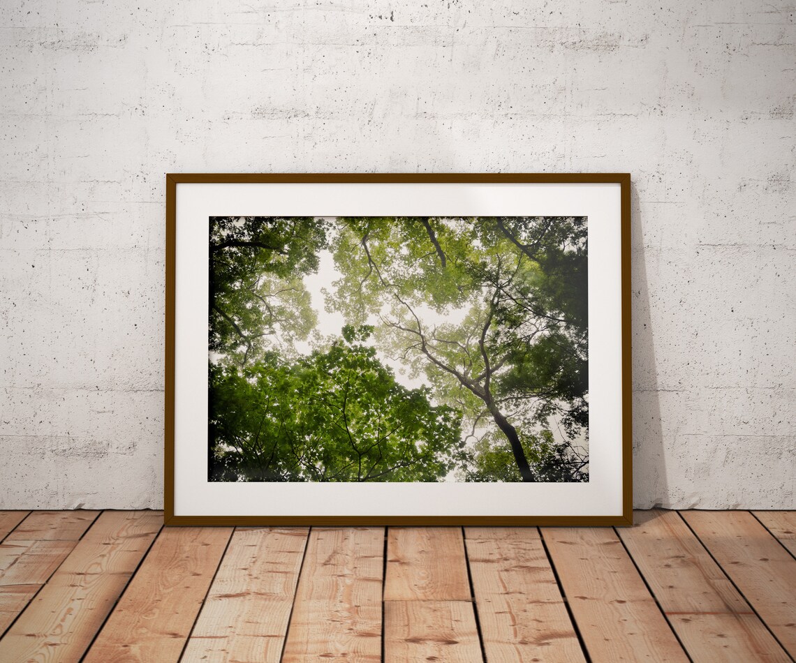 Tree Photography Art Printable Wall Art Nature Photography - Etsy