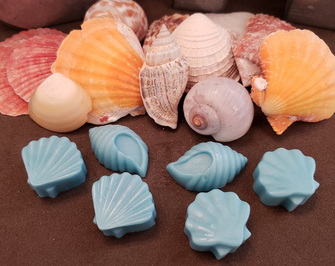 Lotion Bars, Sea Shells Set of 6, Unscented, Body Bar, Hard Lotion Bar ...