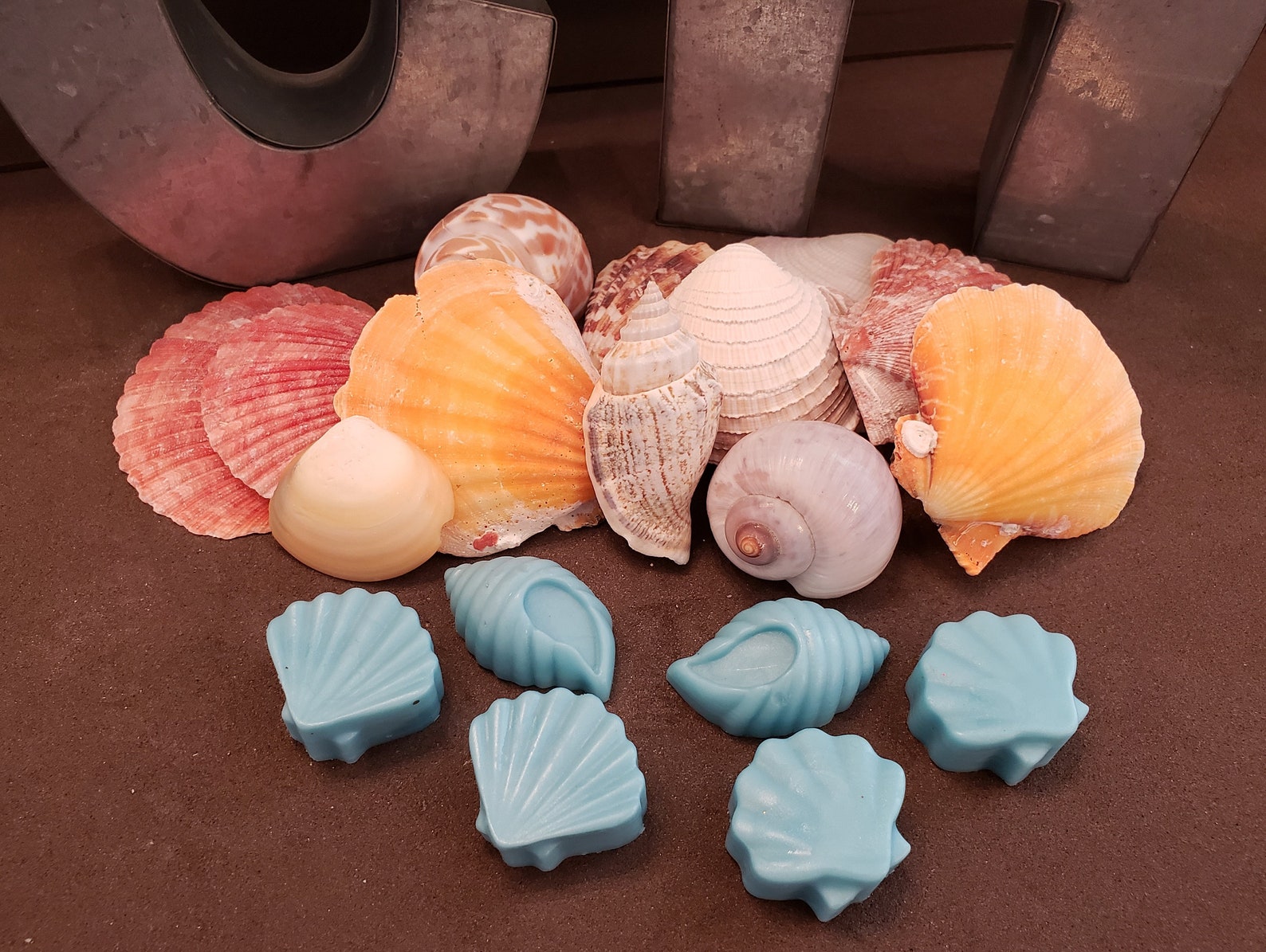 Lotion Bars Sea Shells Set of 6 Unscented Body Bar Hard | Etsy