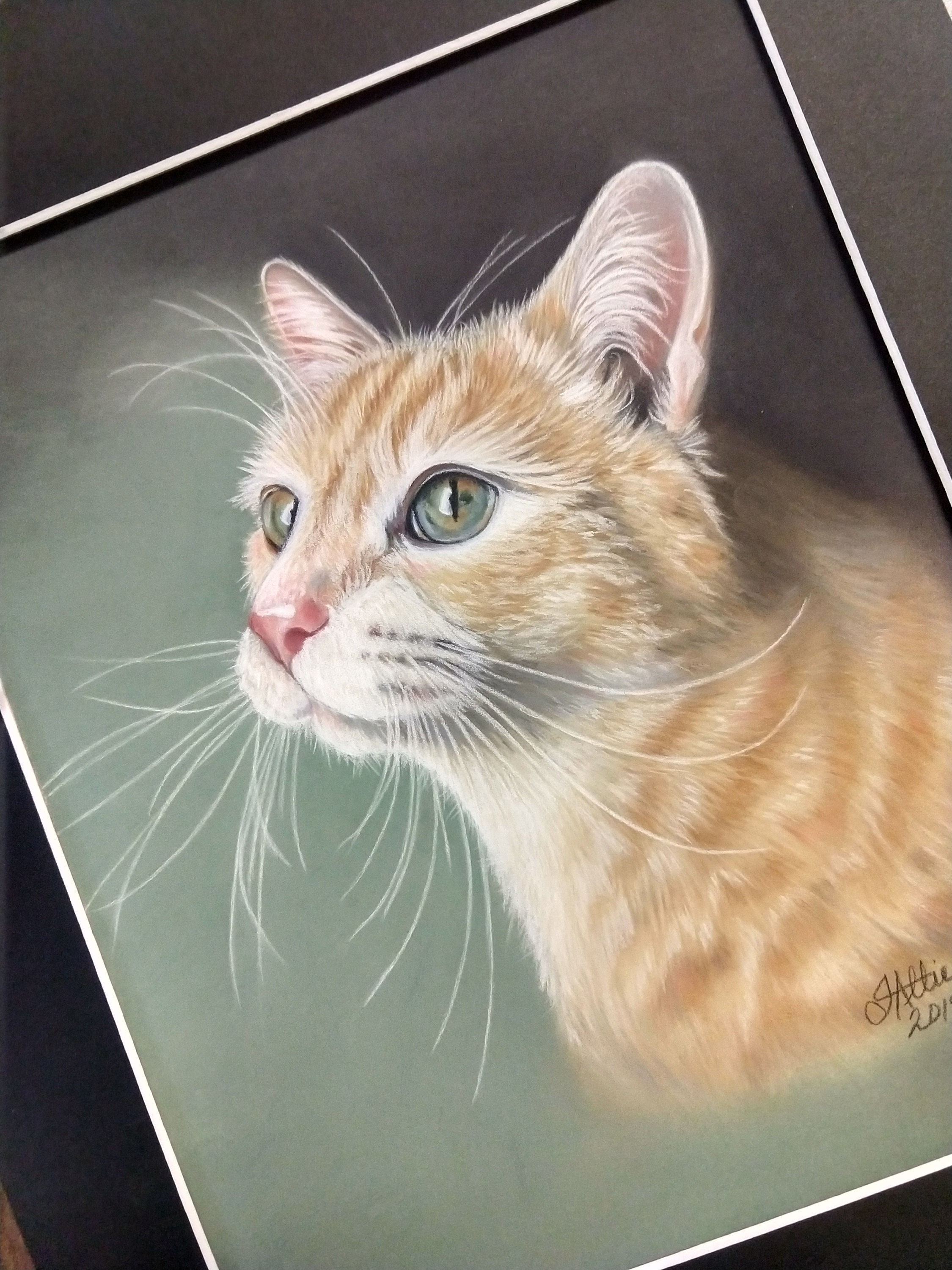 Custom Pet Portraits Pastels and Pencils, Dogs, Cats, Horses, Animals ...