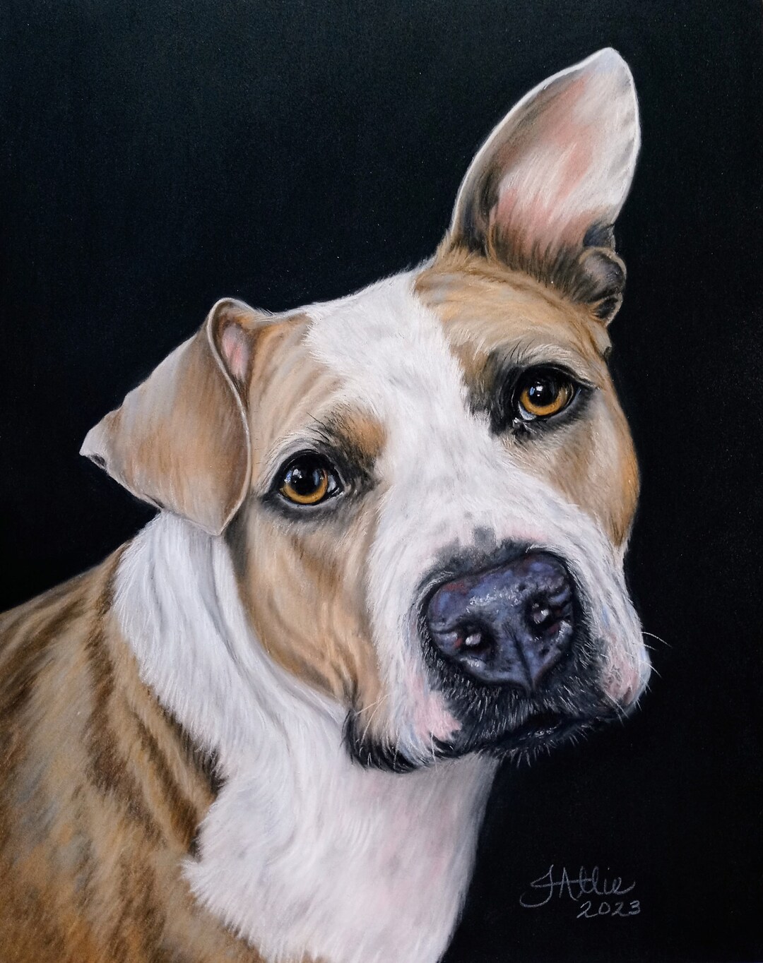 Custom Pet Portraits Pastels and Pencils, Dogs, Cats, Horses, Animals ...