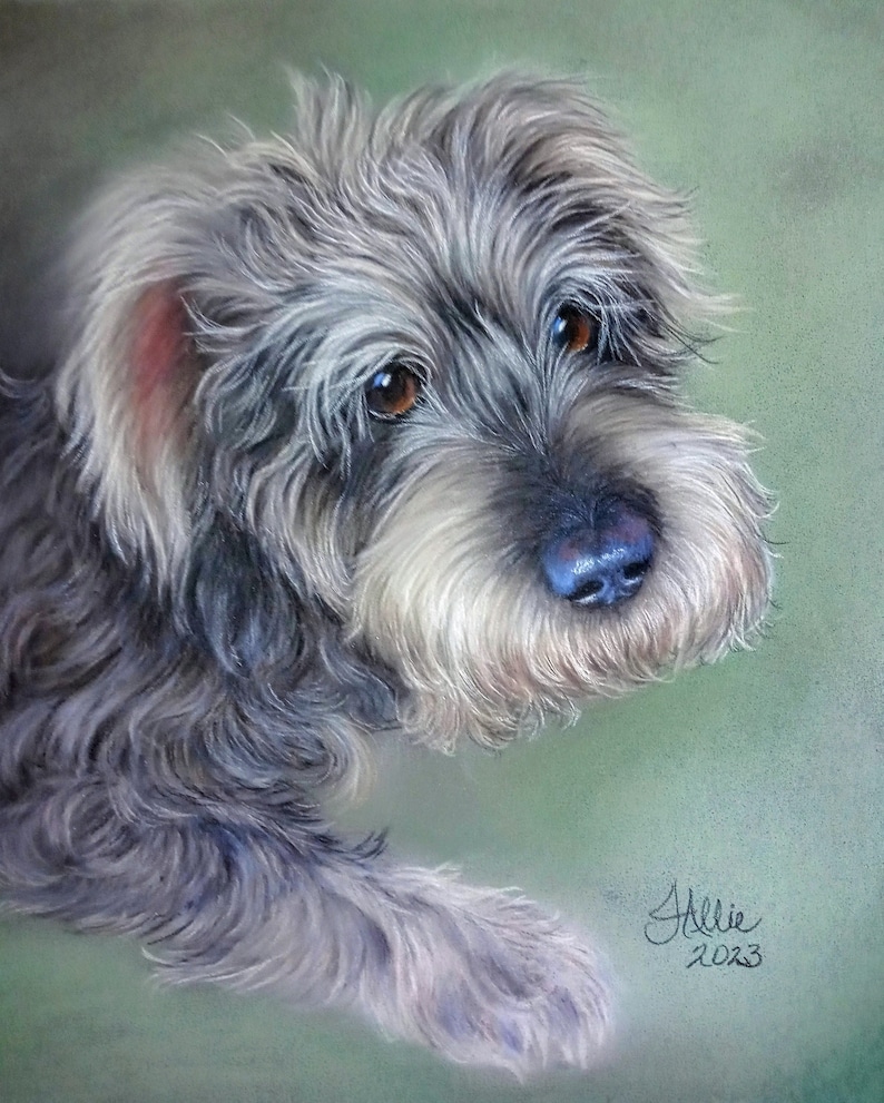 Custom Pet Portraits Pastels and Pencils, Dogs, Cats, Horses, Animals ...