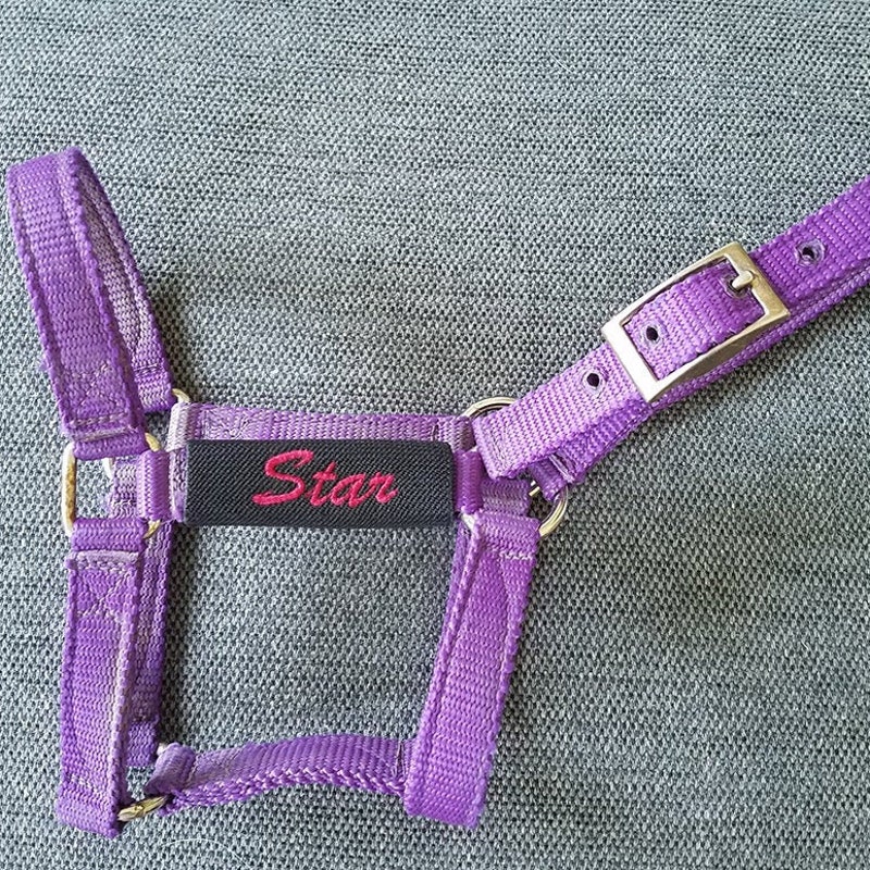 Personalized Teal Halter - Etsy