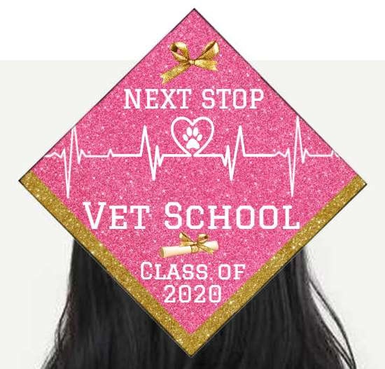 Graduation Cap Topper/vet School/animal Science/ Vet Tech/diy ...
