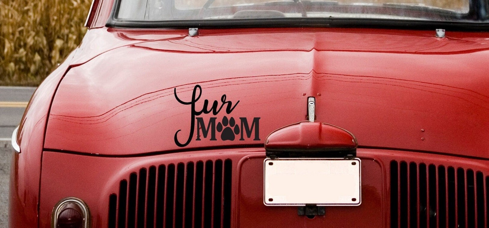 Car Window Sticker Hi-res Stock Photography And Images, 42% OFF