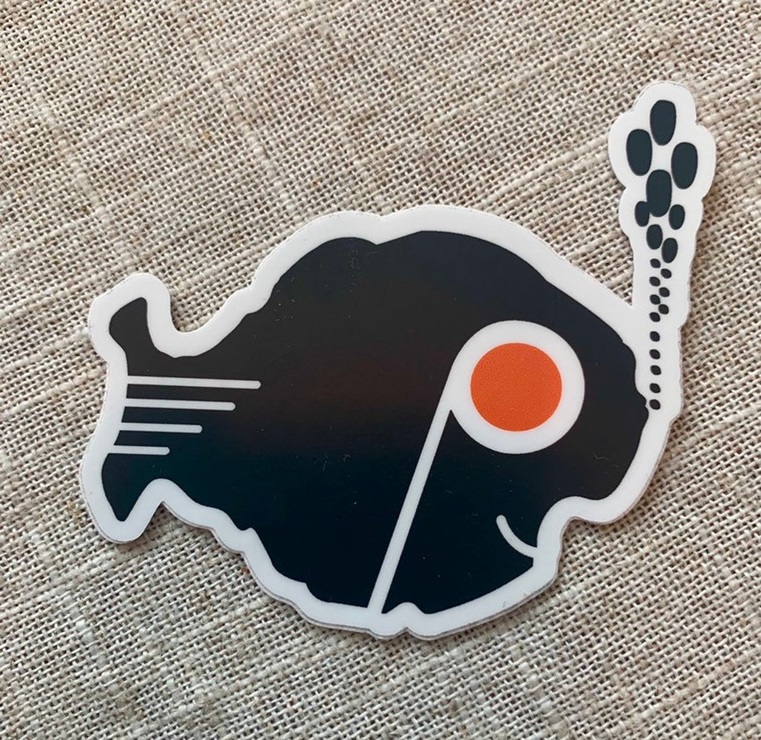 Phish Flyers Sticker - Etsy