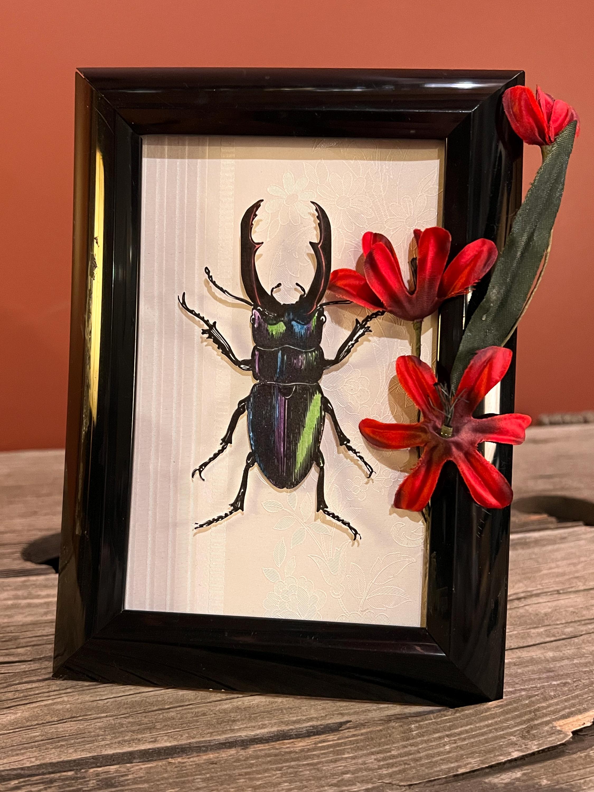 3D Beetle Collage in Upcycled Frame - Etsy
