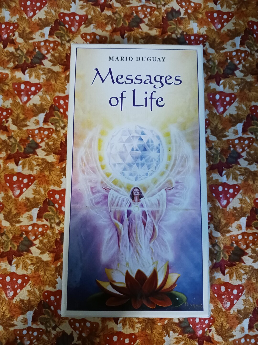 Messages of Life Cards - Etsy