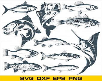 Fish svg | Etsy