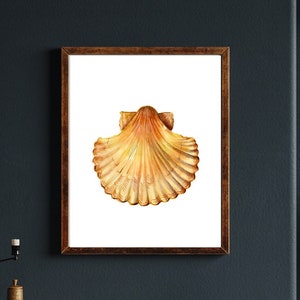 Shell Aesthetic Wall Art Print, Coastal Watercolor Tropical Yellow ...