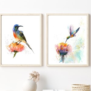 Bird Prints Set of 2, Hummingbird and Sunbird With Flower, Watercolor ...