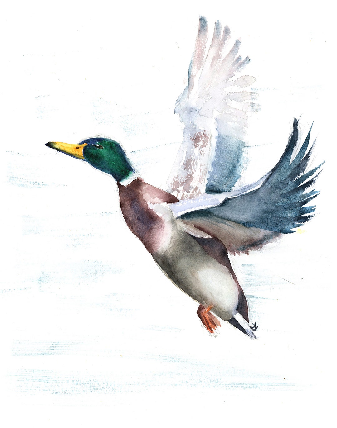 Mallard Duck Print Farm Animal Print Flying Duck Artwork - Etsy