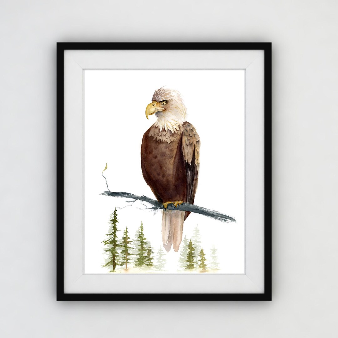 Bald Eagle Wall Art Watercolor Print, American Bird Painting for Living ...