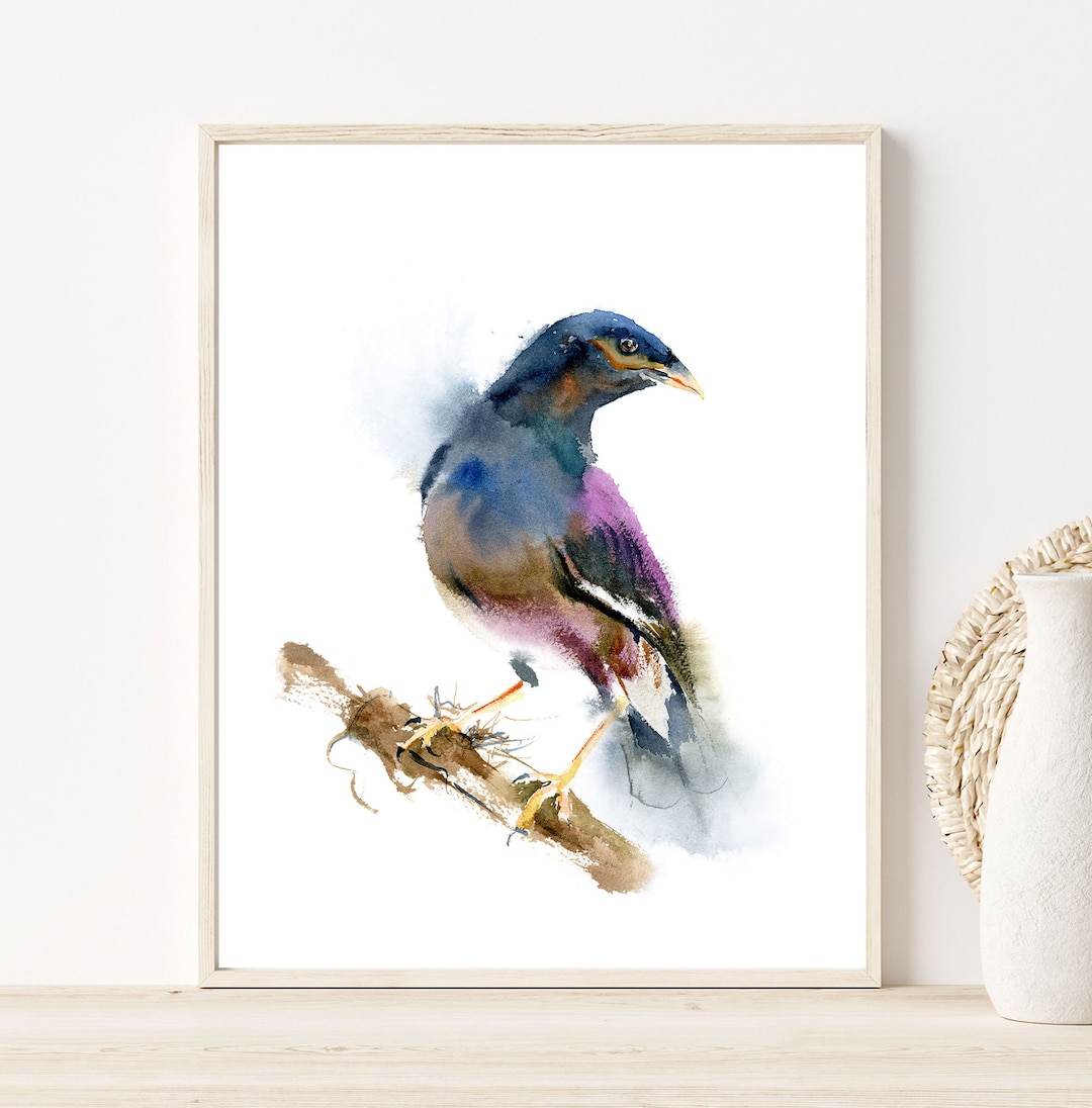 Bird Watercolor Art Print Myna Painting Nature Ornithology - Etsy