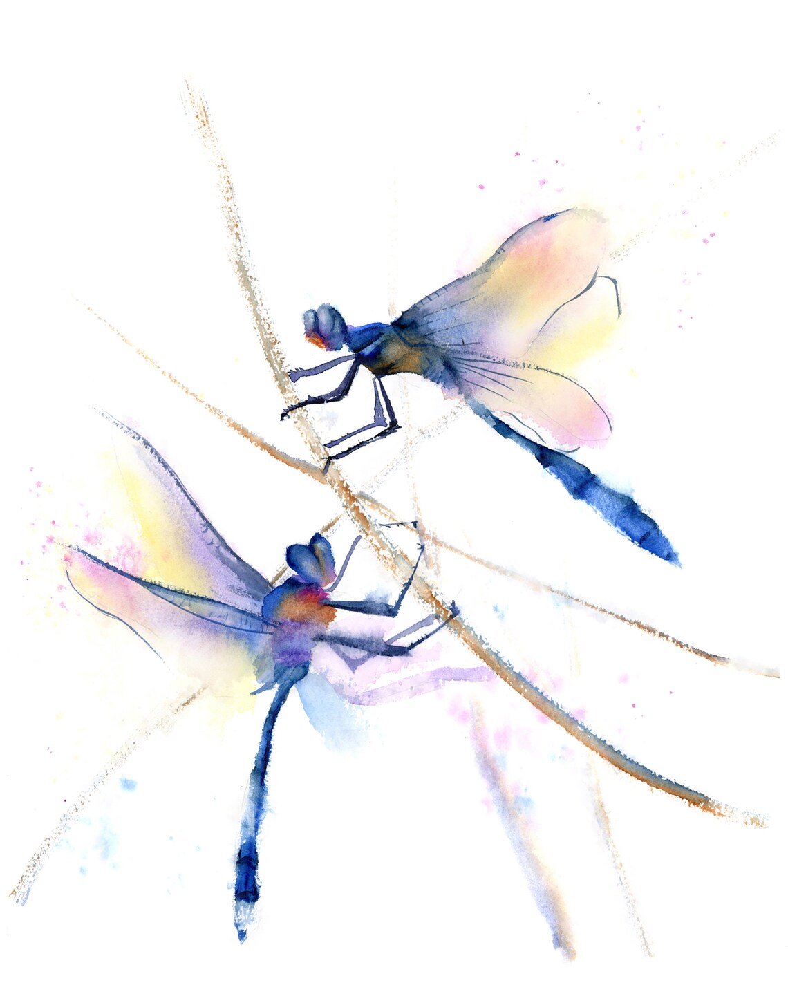 Dragonfly Artworks Set of 2 Art Prints Colorful Dragonfly - Etsy