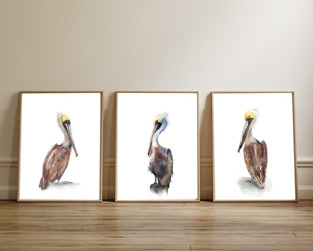 Pelican Print Set of 3 Wall Art, Pelican Watercolor Paintings, Birds ...