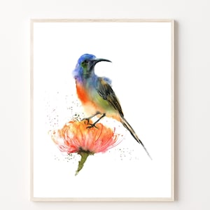 Bird Prints Set of 2, Hummingbird and Sunbird With Flower, Watercolor ...