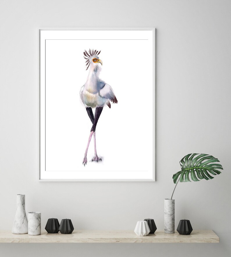 Secretary Bird Art Print Watercolor Painting Minimalist Art | Etsy