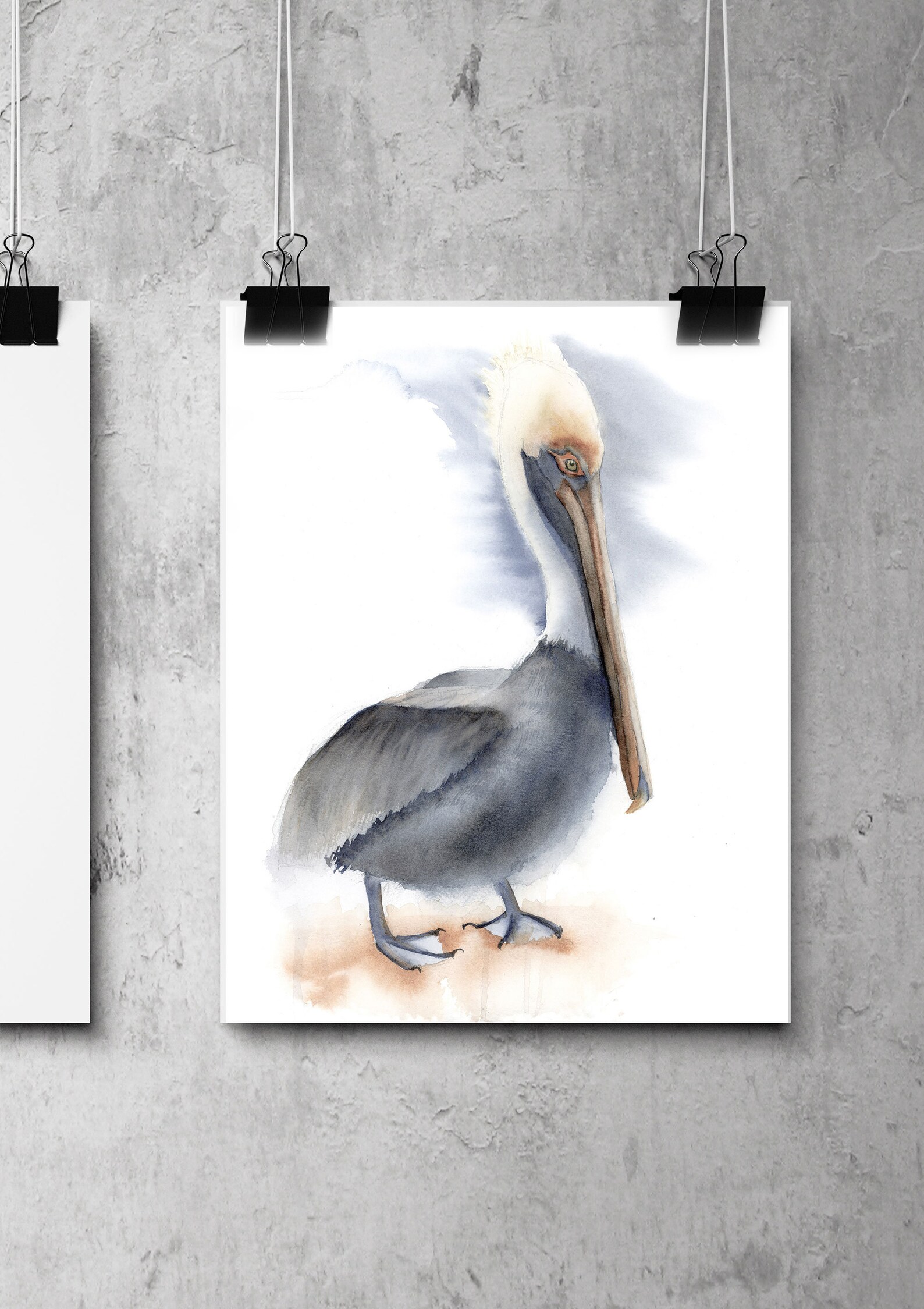 Set of 4 Prints Brown Pelican Prints Watercolor Giclée | Etsy