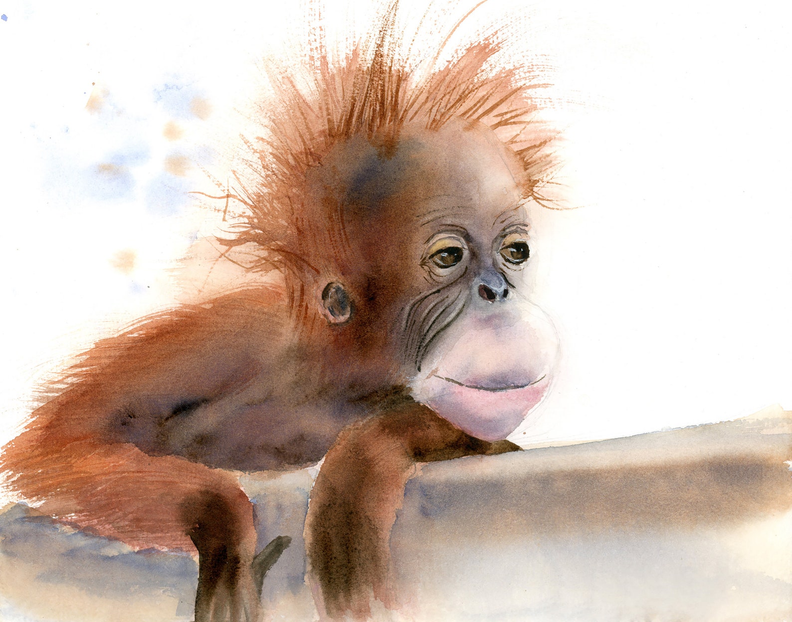 Monkey Print Baby Orangutan Art Watercolor Cub Animal - Etsy