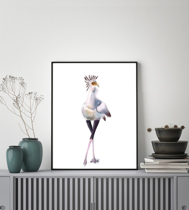Secretary Bird Art Print Watercolor Painting Minimalist Art - Etsy