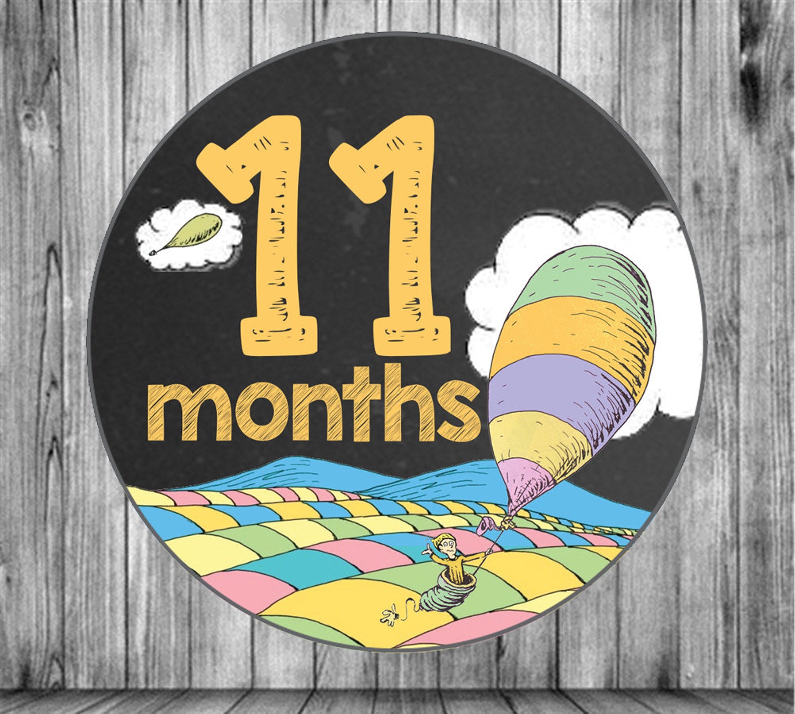 12 Month Photo Banner Oh the Places You'll Go Birthday - Etsy