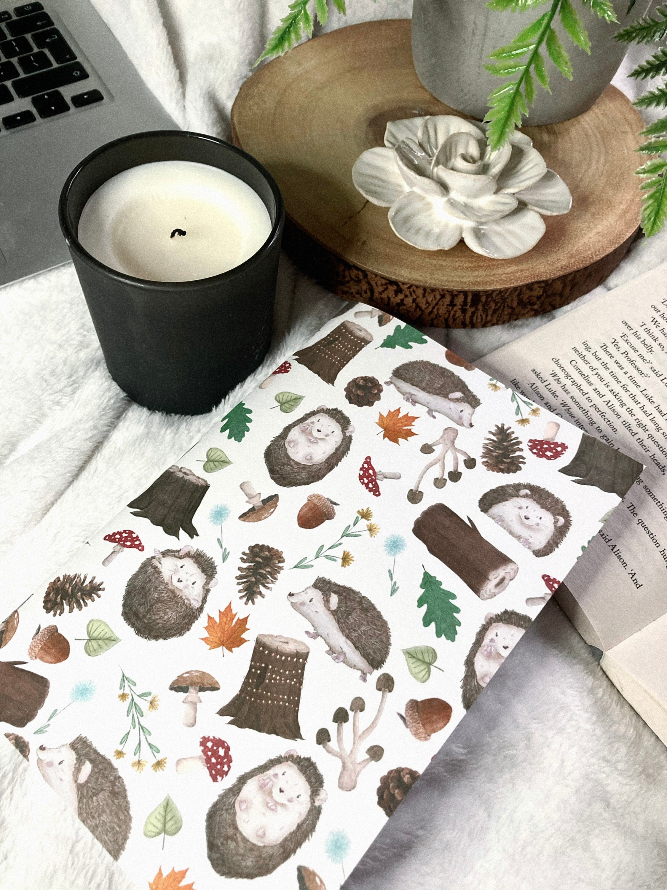 Hedgehogs A5 Notebook Lined Paper Exercise Bookread - Etsy