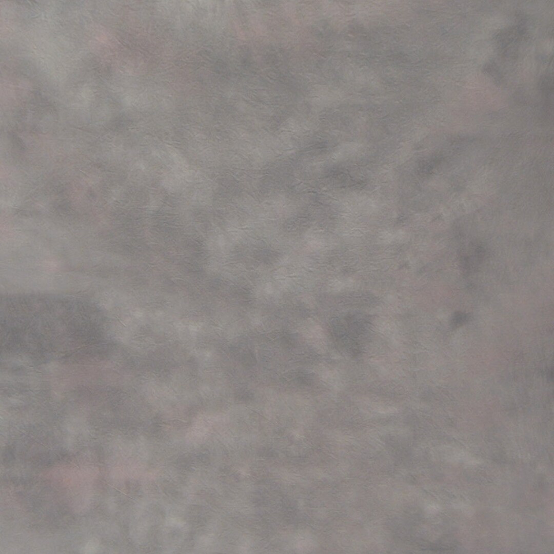 Ash Canvas Backdrop 5'x7' - Etsy