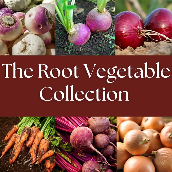 Rare Vegetable Seeds - Etsy