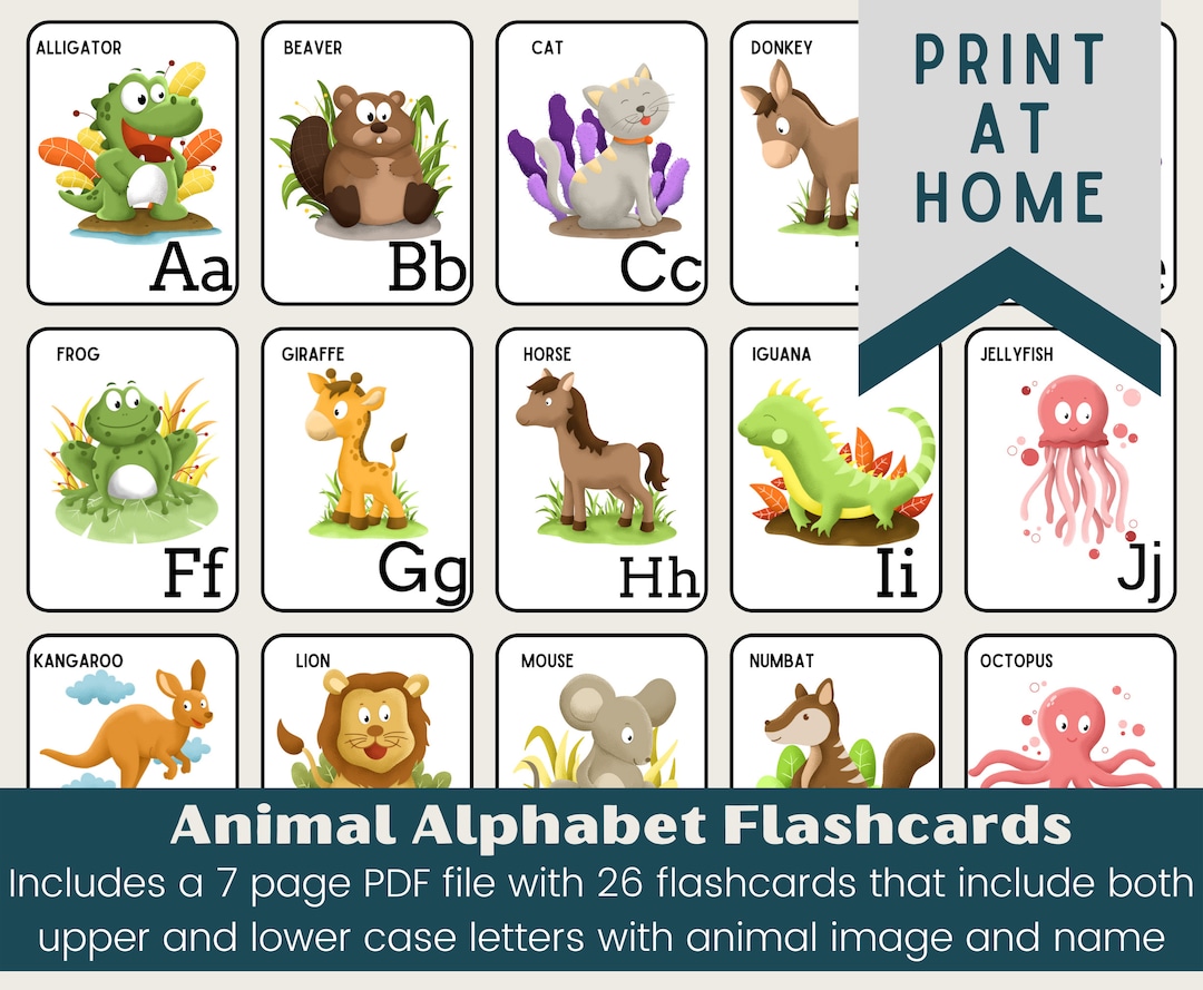 Animal Alphabet Flashcards for Toddlers and Preschoolers | ABC ...