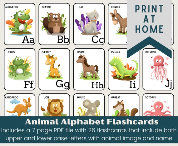 26 Pcs Alphabet Abc Flash Cards With Alphabet ABC Flash Cards Animal ...