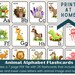 Animal Alphabet Flashcards for Toddlers and Preschoolers | ABC ...