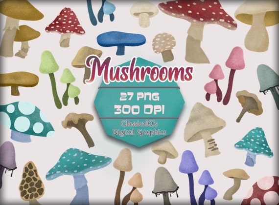 Hand Drawn Mushroom Clip Art Fungus Outdoor Fall Digital | Etsy