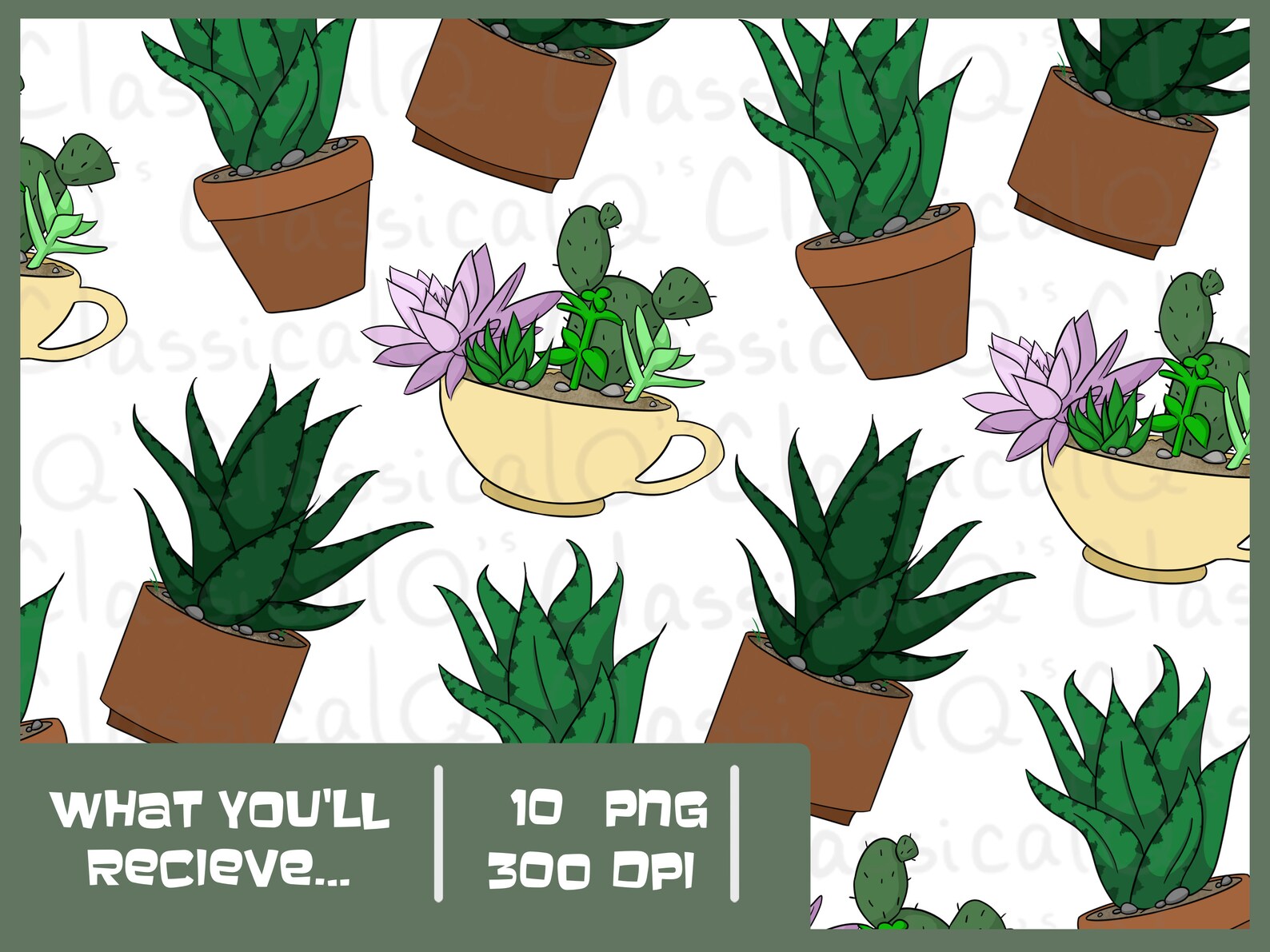 Succulent Clip Art, Cactus Clip Art, Hand Drawn Clip Art, Air Plant PNG ...