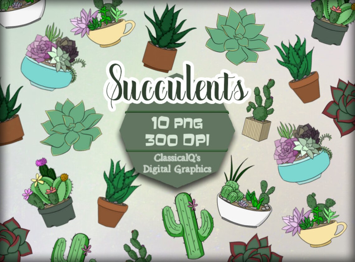 Succulent Clip Art, Cactus Clip Art, Hand Drawn Clip Art, Air Plant PNG ...