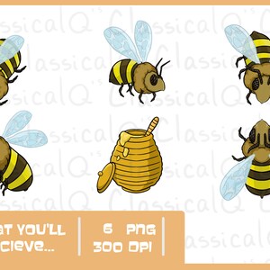 Honey Bee Clip Art, Spring Bees, Hand Drawn Digital Clip Art, Digital ...