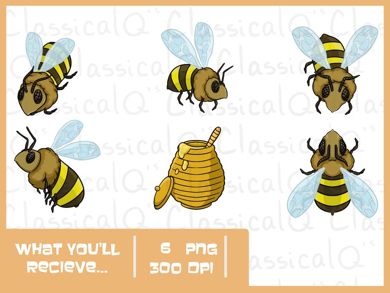 Honey Bee Clip Art Spring Bees Hand Drawn Digital Clip Art - Etsy
