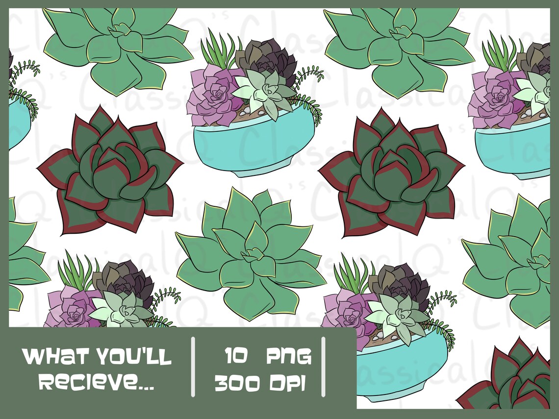 Succulent Clip Art, Cactus Clip Art, Hand Drawn Clip Art, Air Plant PNG ...