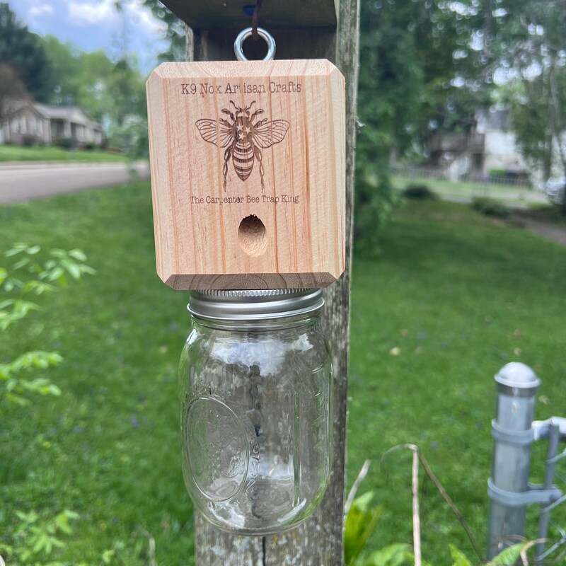 Carpenter Bee Trap - Etsy